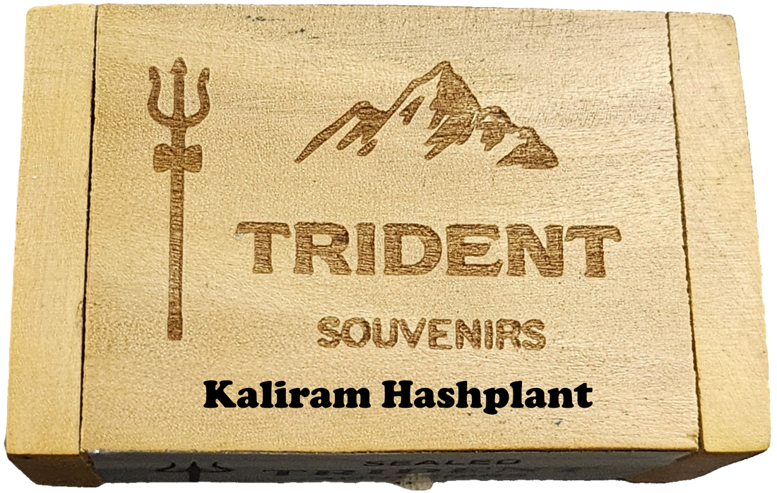 Kali Ram Hashplant – Trident Souvenirs